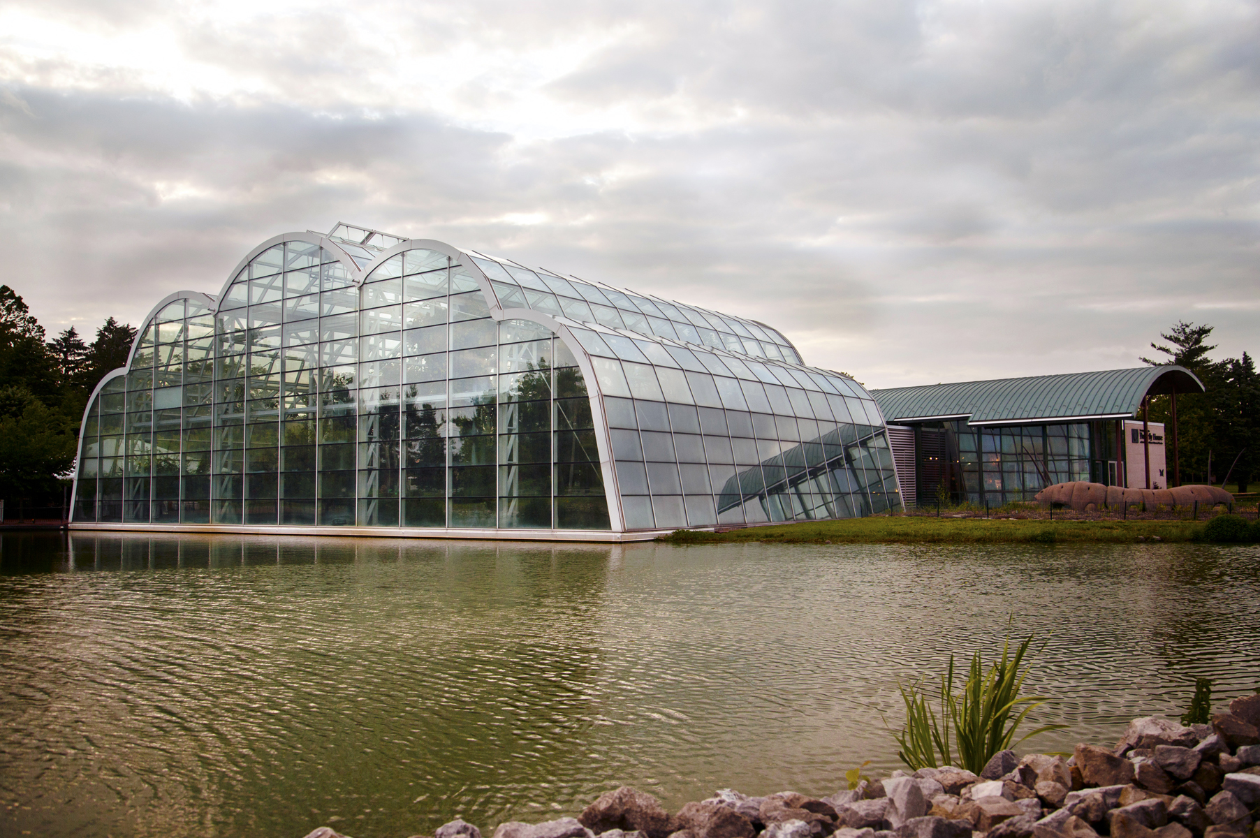 20 Ways to Experience the Butterfly House - Discover + Share