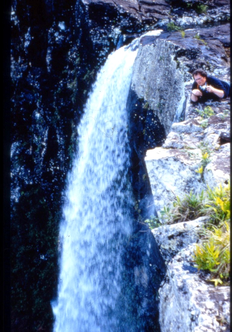 Rare Flower Comes to the Climatron – Discover + Share