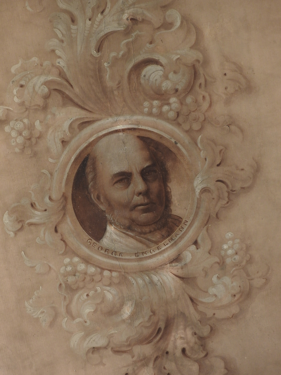 Garden History: Who Was Dr. George Engelmann? - Discover + Share